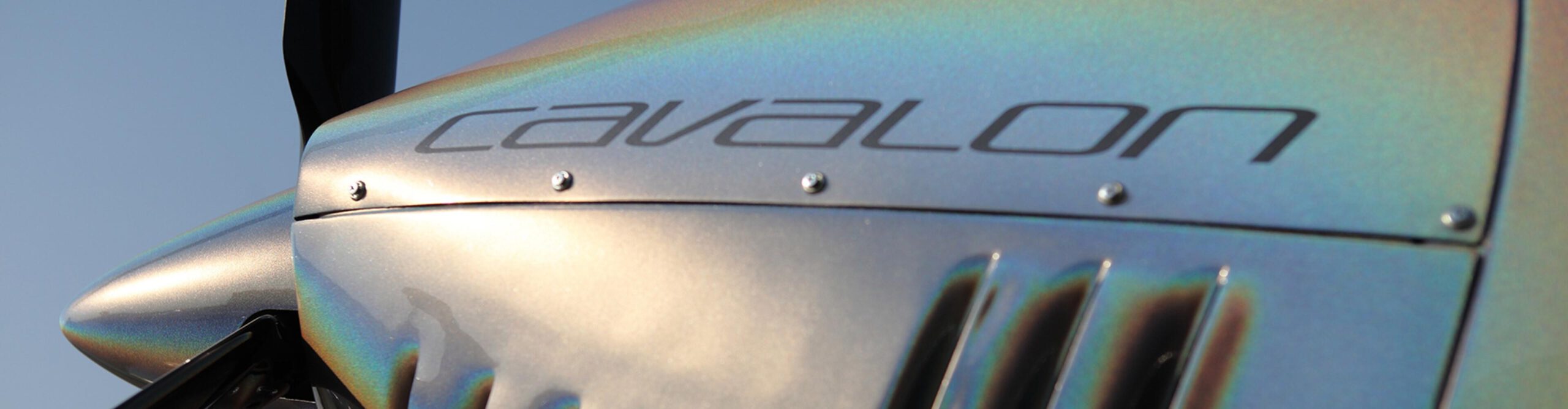 Download Maintenance Calidus - AutoGyro